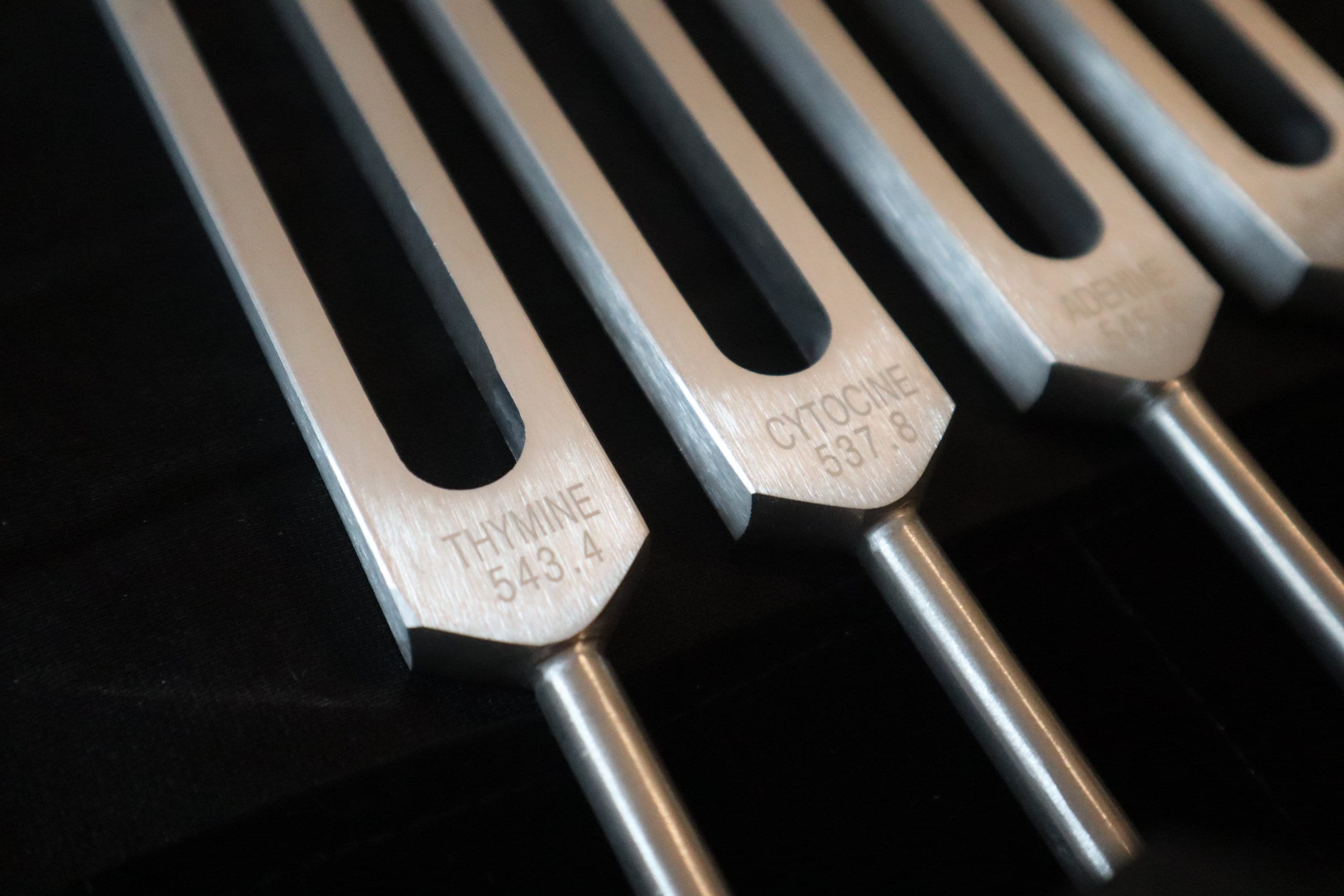 DNA Tuning Fork Set - Professionally Tuned .25 Hz, Regeneration, Bio ...